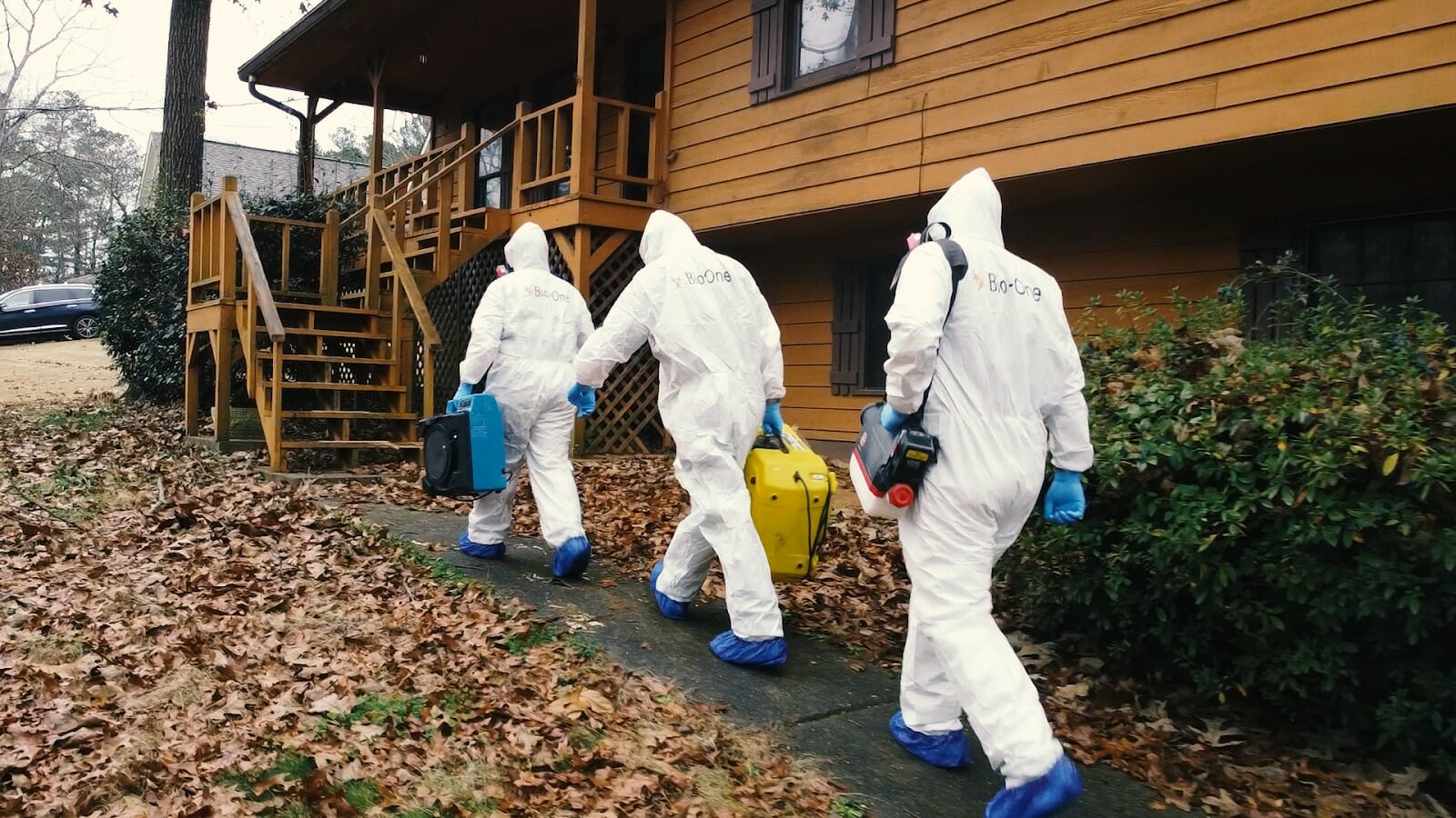 Collecting vs. Hoarding: When Does a Hobby Become a Disorder? - Bio-One ...