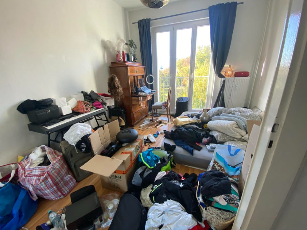 Collecting vs. Hoarding: When Does a Hobby Become a Disorder? - Bio-One ...