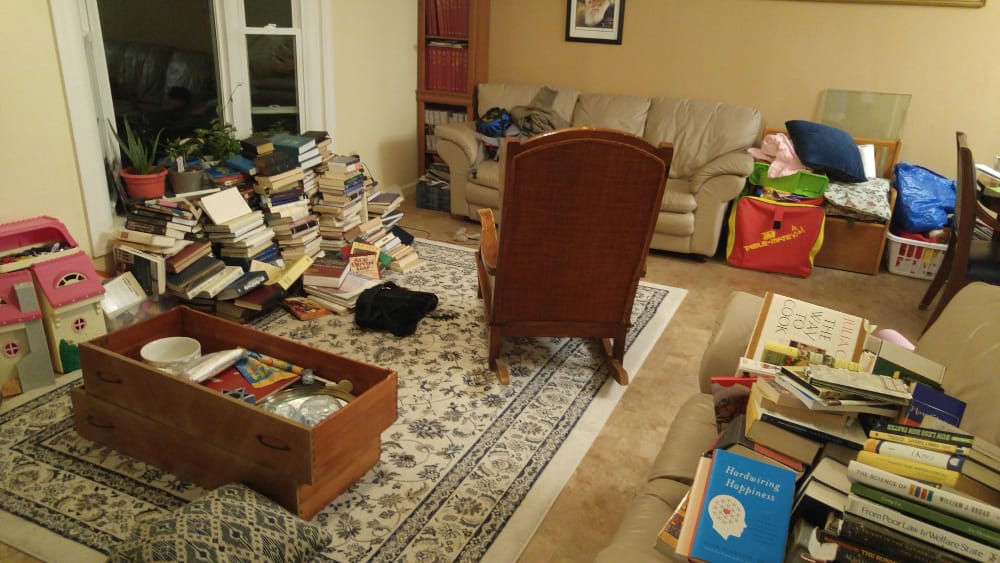 Collecting vs. Hoarding: When Does a Hobby Become a Disorder? - Bio-One ...